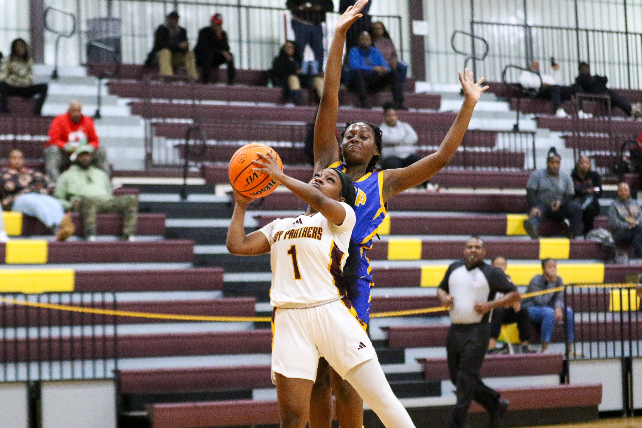 Perry basketball searching for identity in early season; Lady Panthers ...