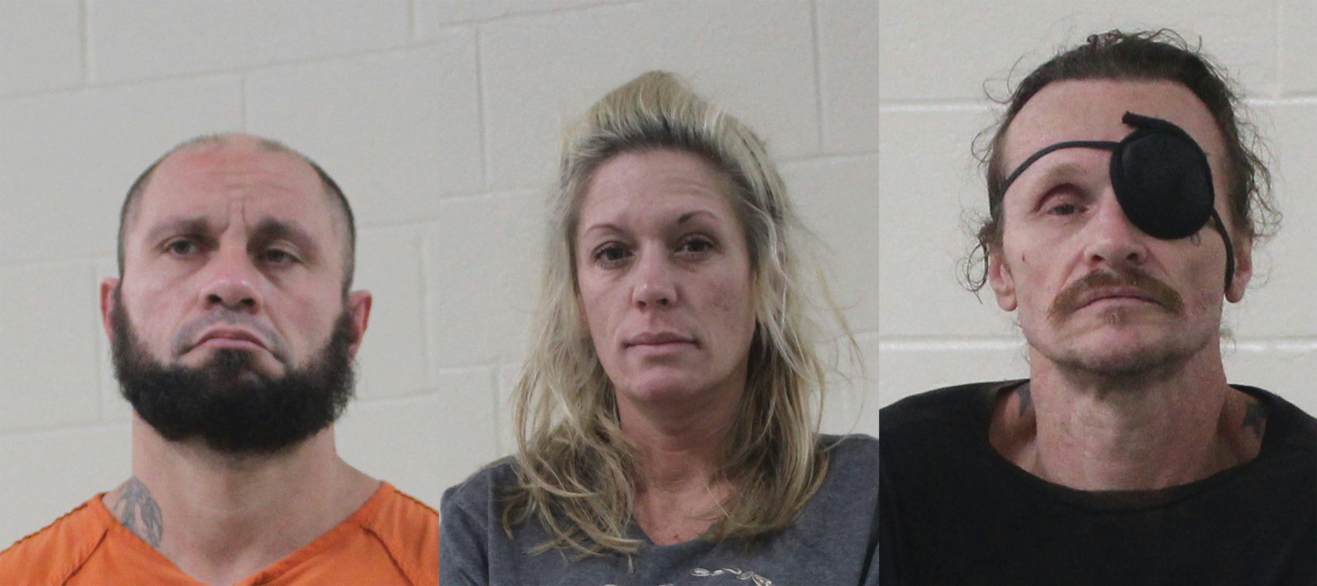 Perry Police arrest three for theft, meth charges – Houston Home Journal
