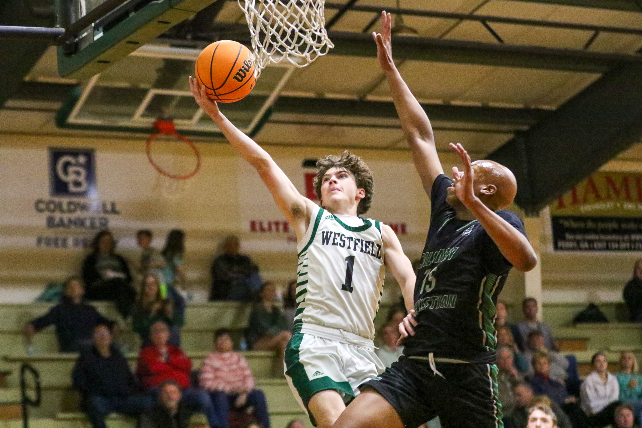 Basketball Roundup: Houston County basketball teams bow out of state ...