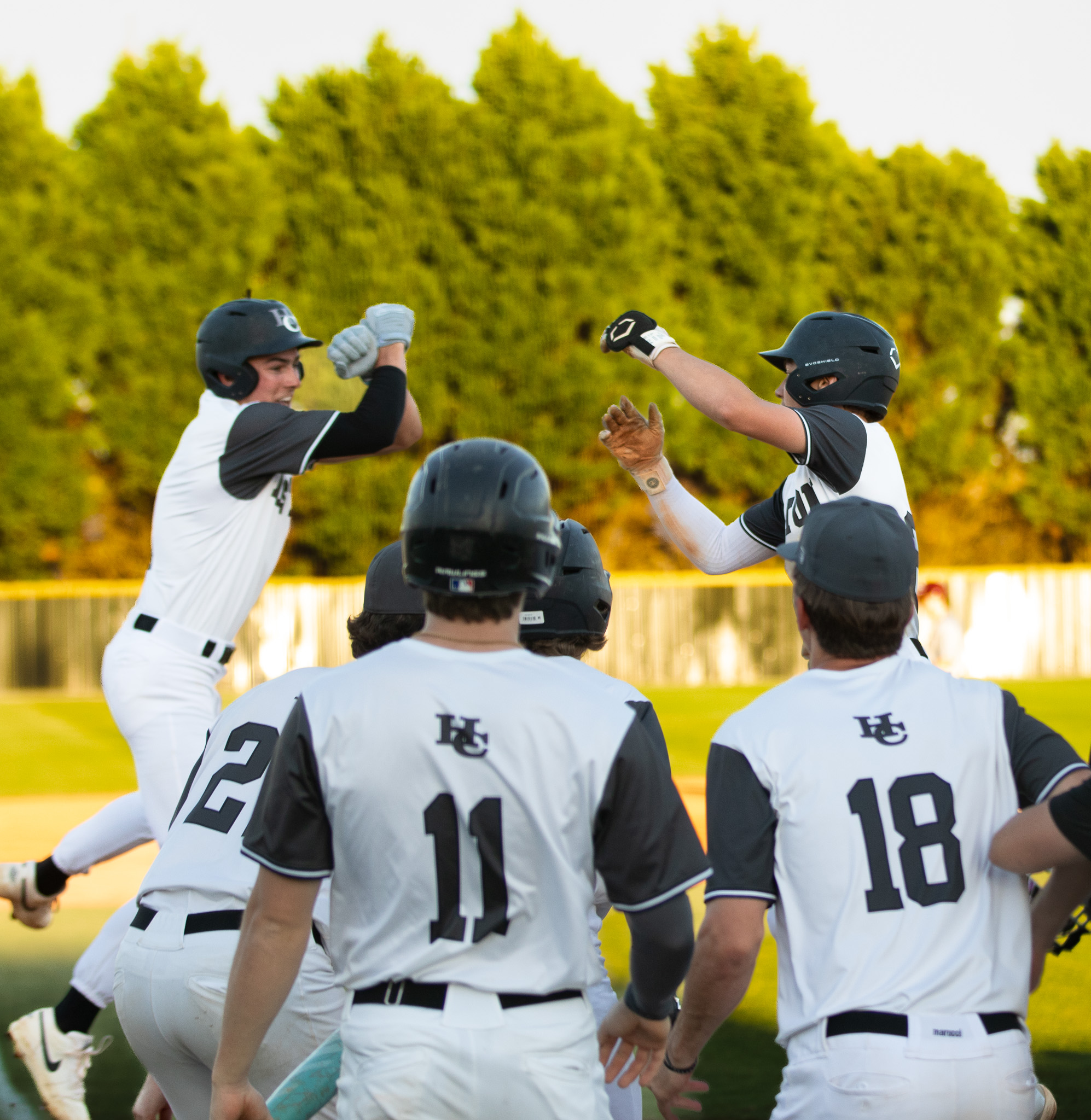 Houston County baseball puts Coffee away early in home-run happy ...