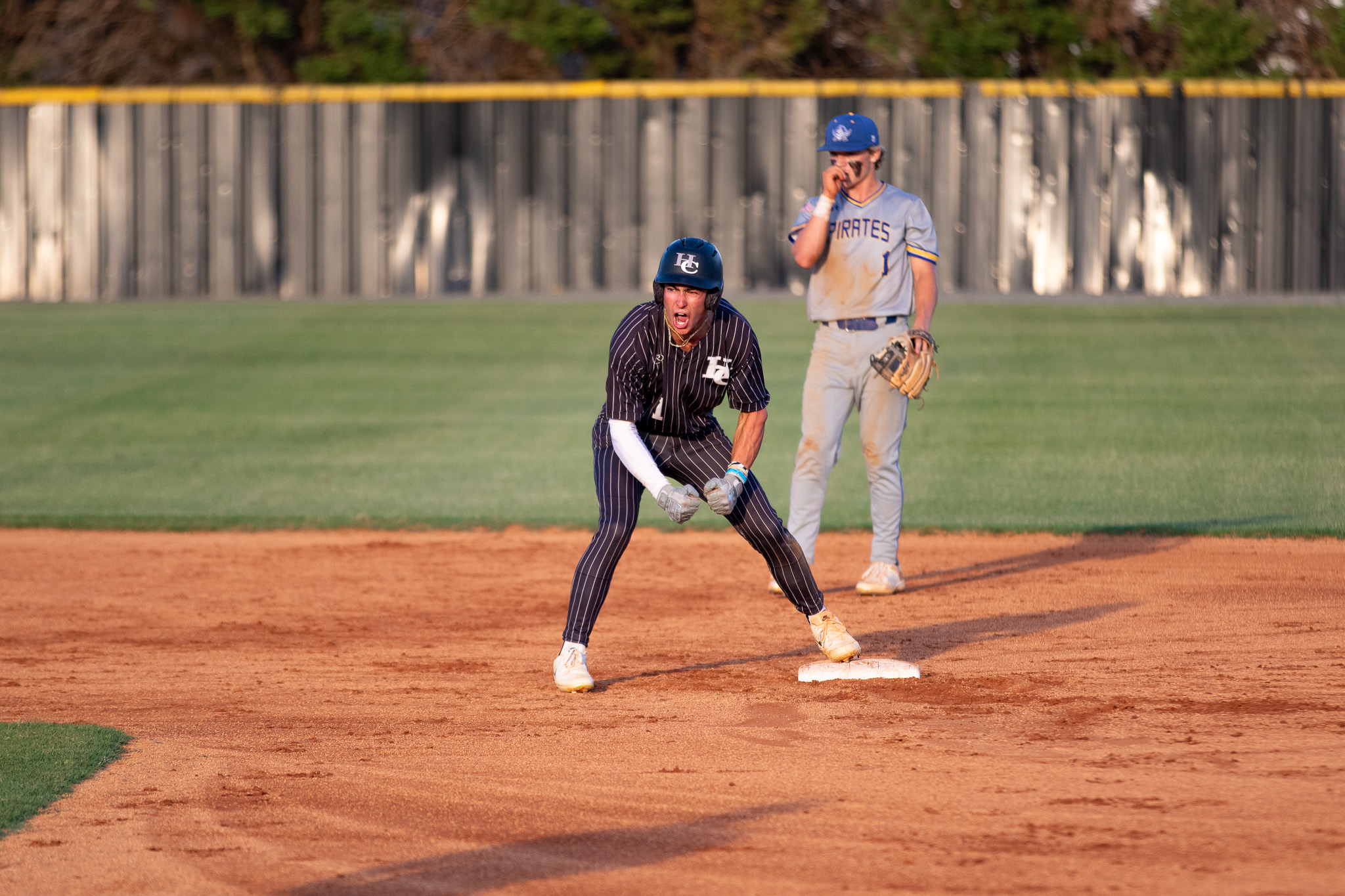 Houston County baseball headed to quarterfinals for seventh straight ...