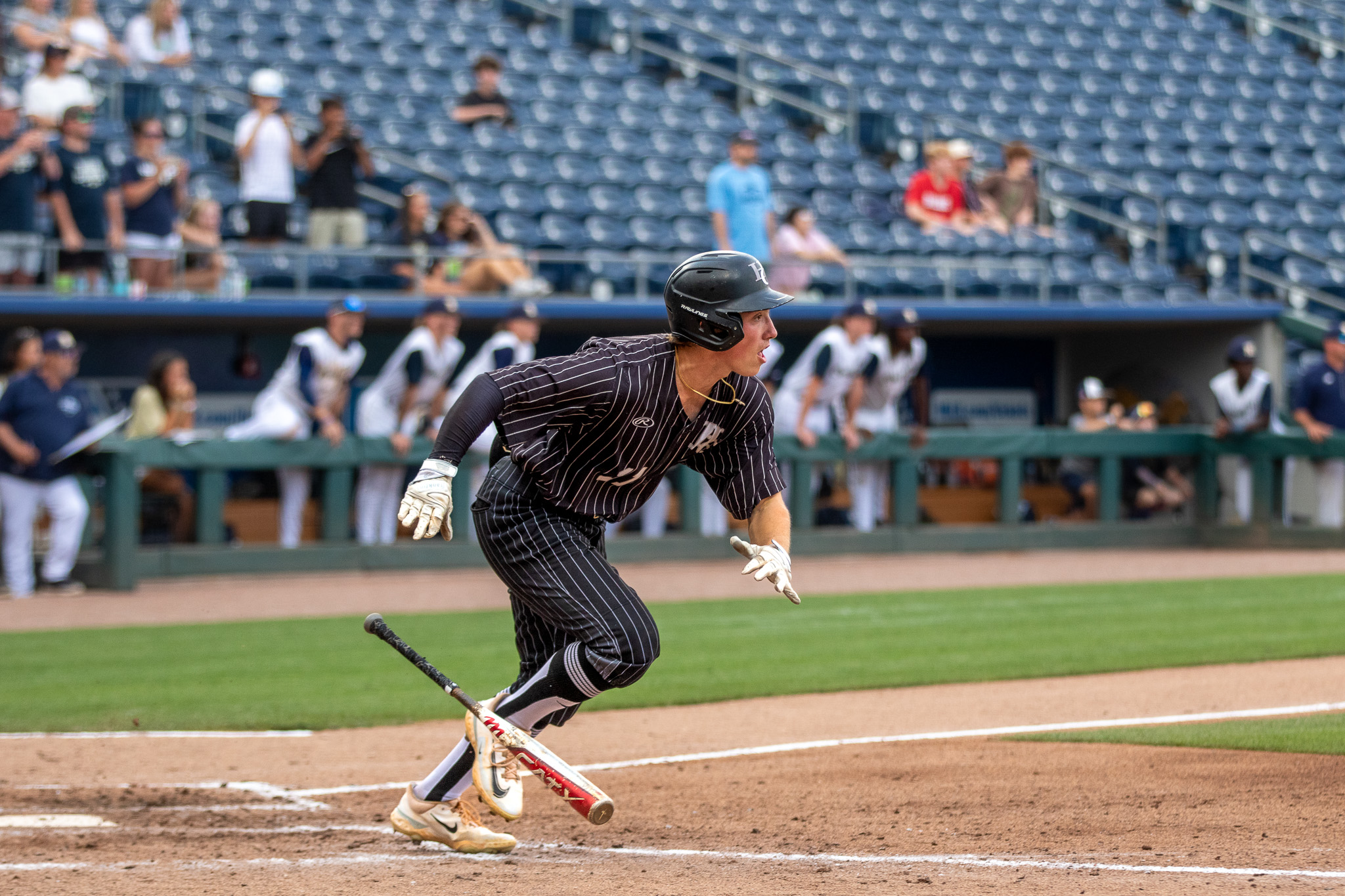 ON THE OTHER SIDE: Houston County baseball swept by Newnan for first ...